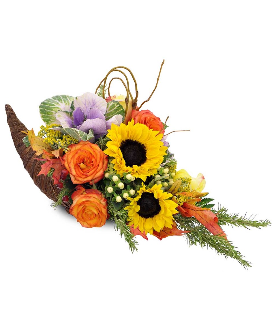 The History of the Cornucopia